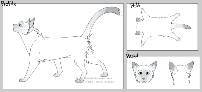 cat ref sheet