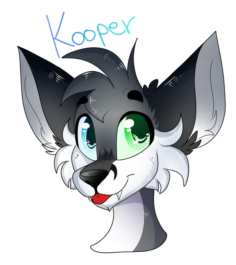 Koop (new design) - Refsheet.net