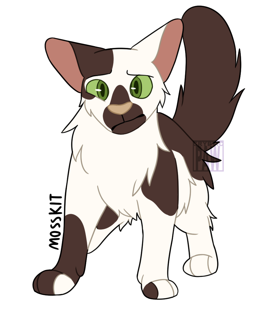Warrior Cats Mosskit