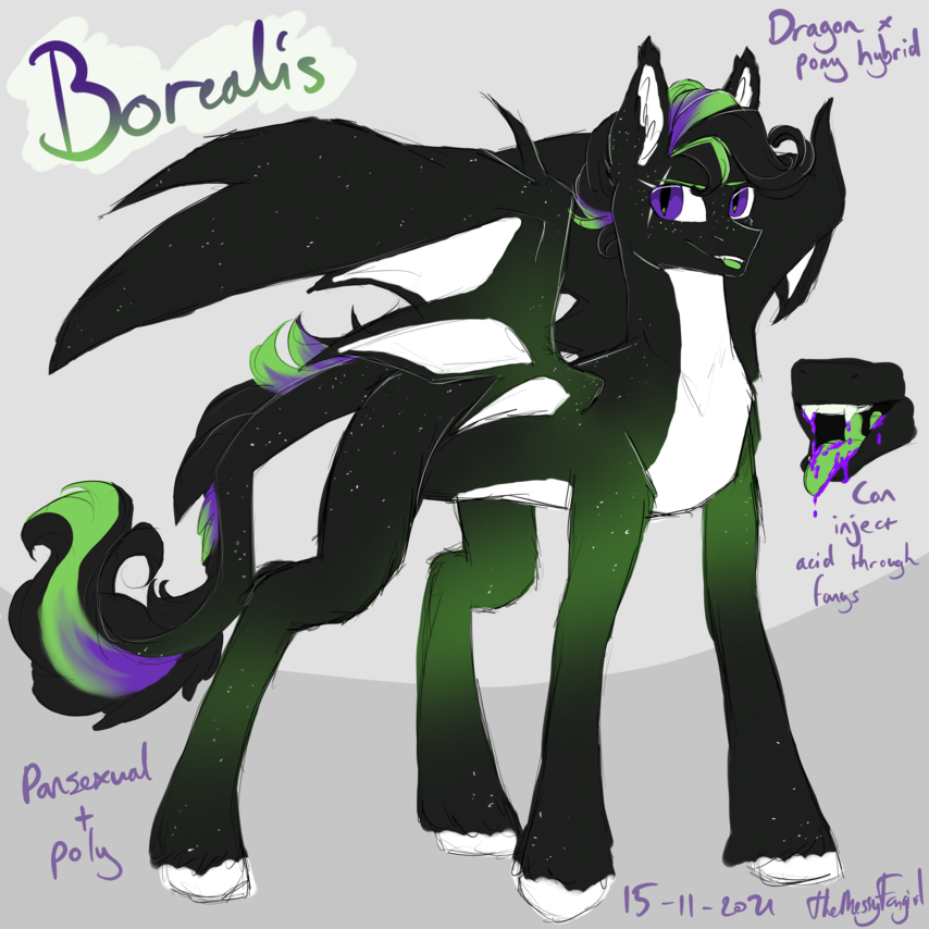 Midnight - Refsheet.net