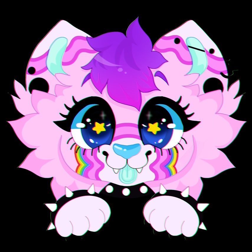 dizzy cat pfp