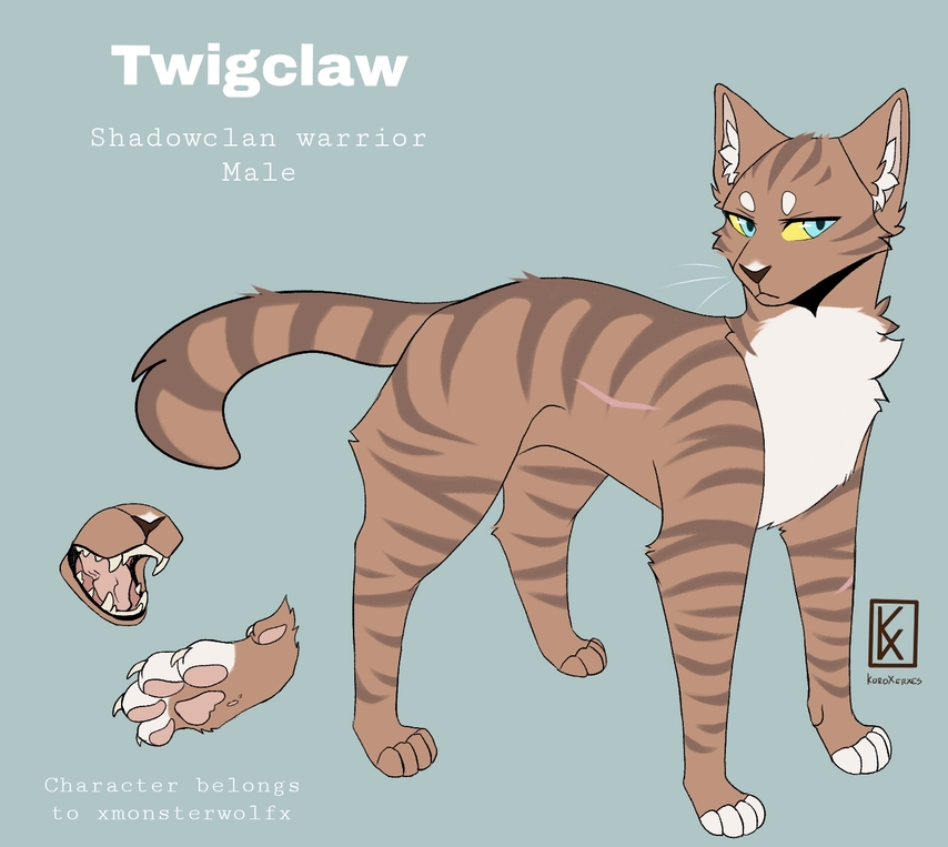 shadowclan cats