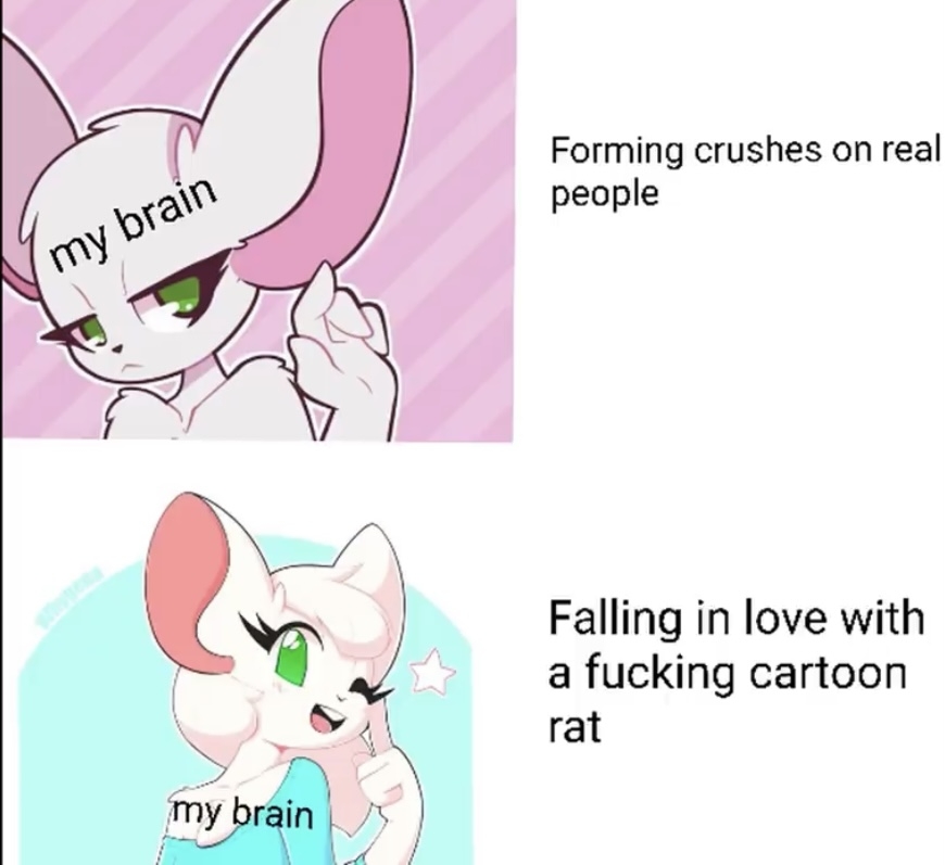The only rodent I simp for : r/furrymemes