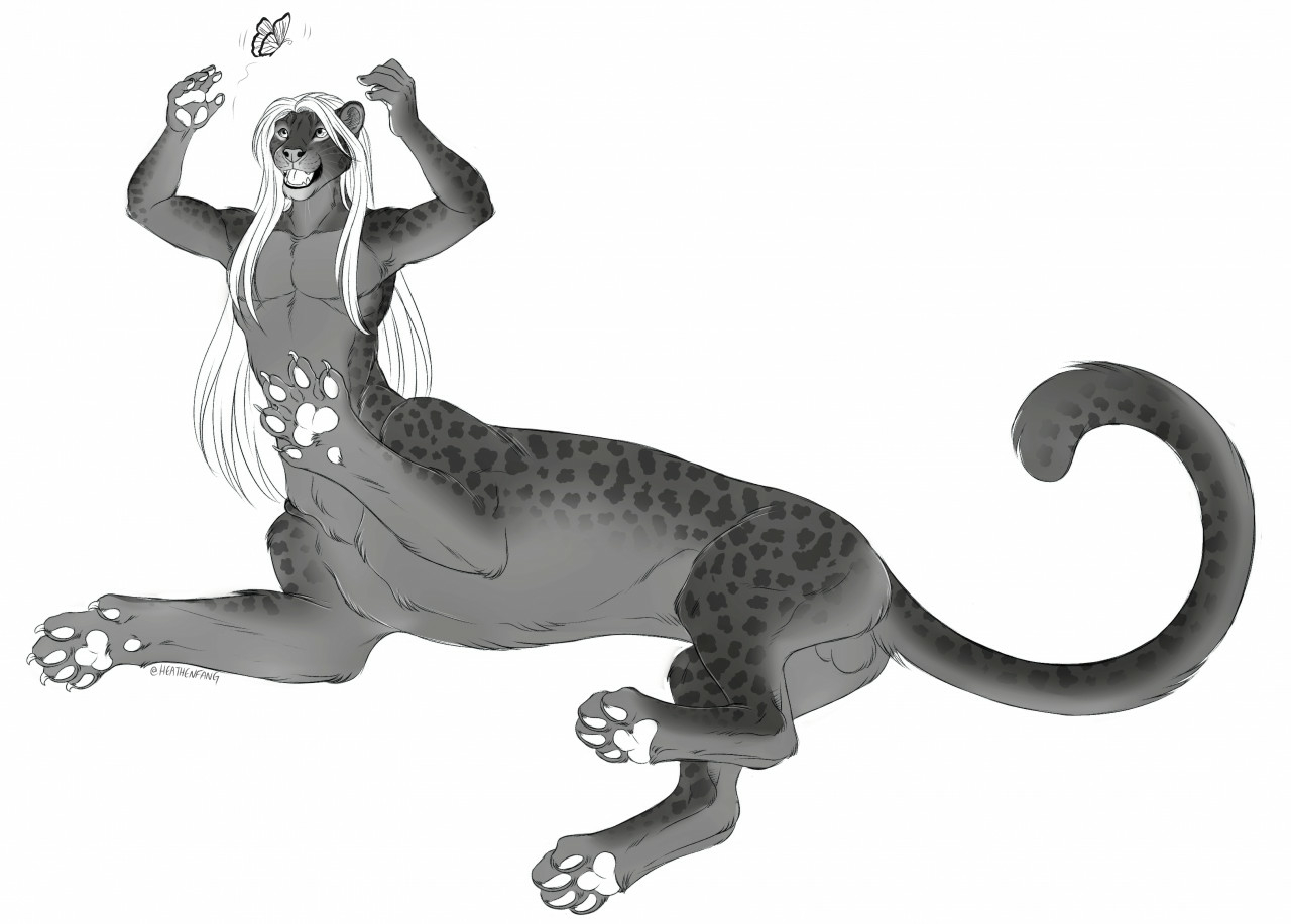 cat centaur oc