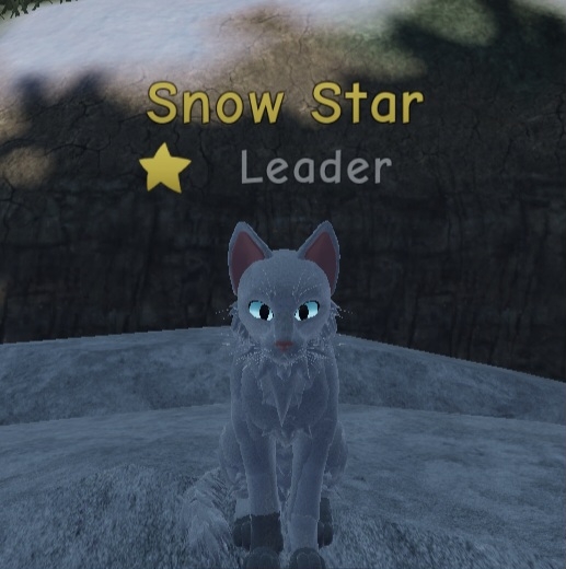 Snow Star - Refsheet.net