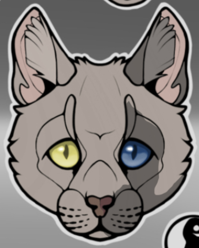 warrior cats willowkit