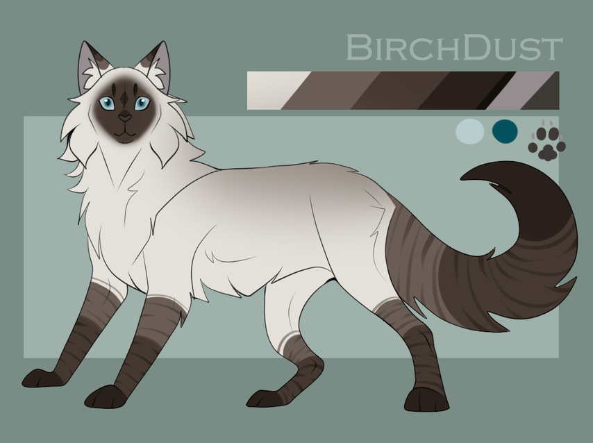 conjoined warrior cats