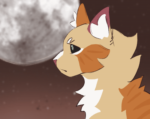 spottedleaf backstory