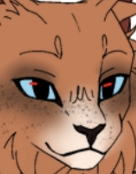 Firefeather - Refsheet.net