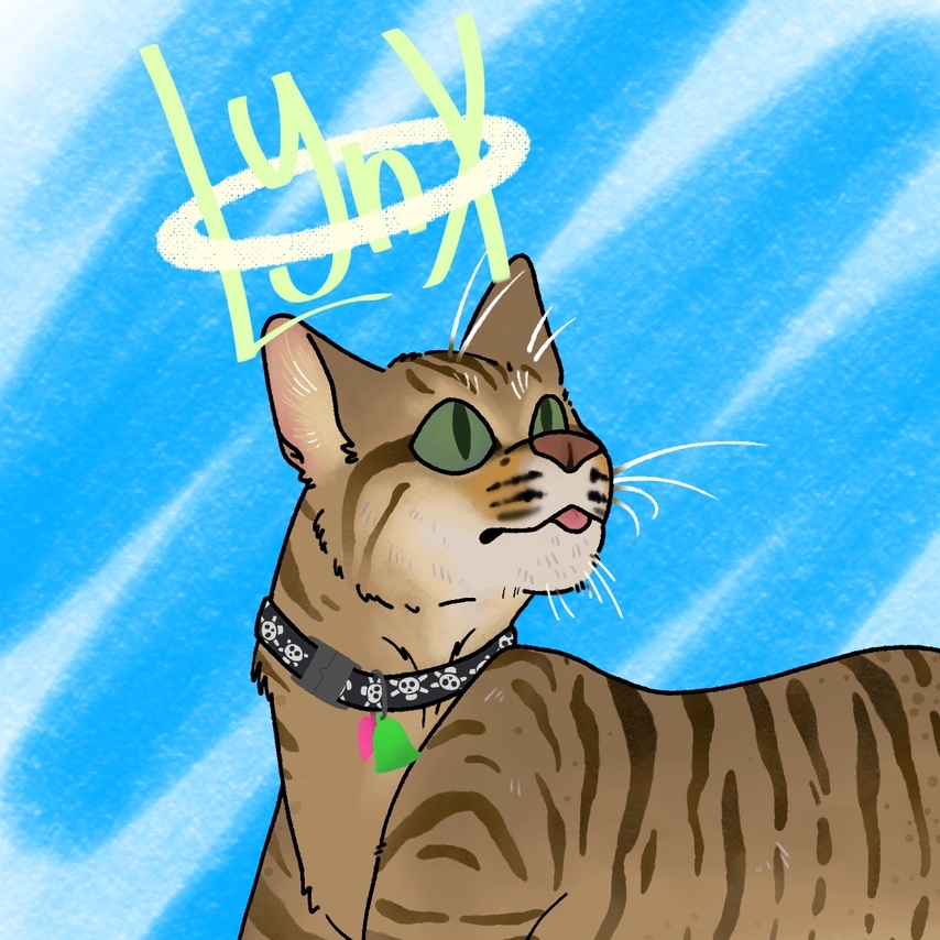 Lynx - Refsheet.net