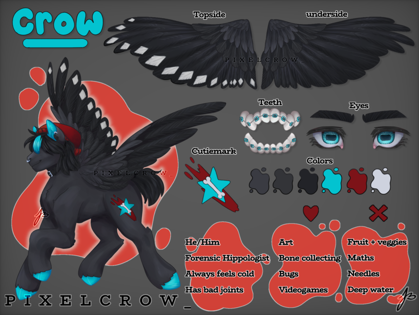 crowpony
