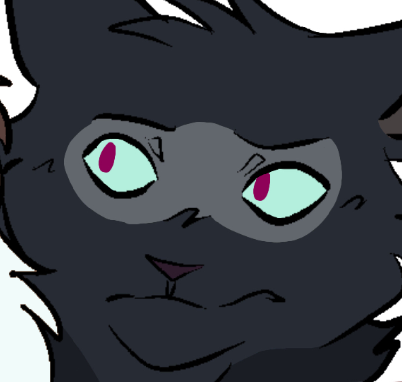 Raccoonpool - Refsheet.net